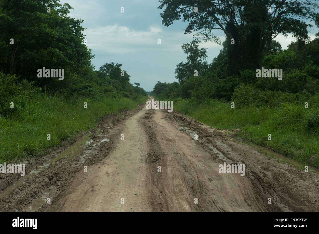 Mud ruts hi-res stock photography and images - Alamy