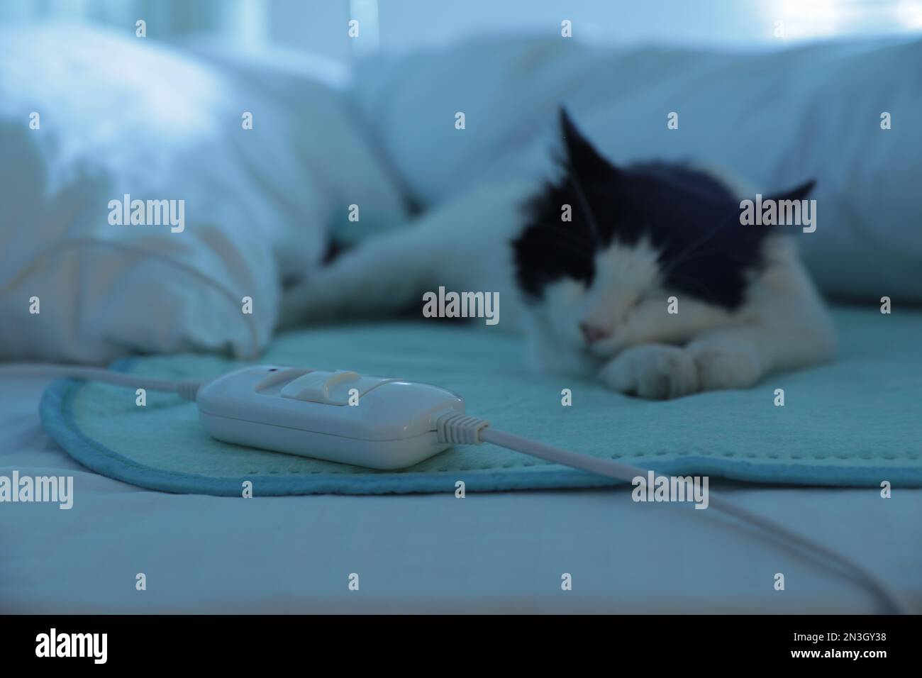 Heating pad animal hi-res stock photography and images - Alamy