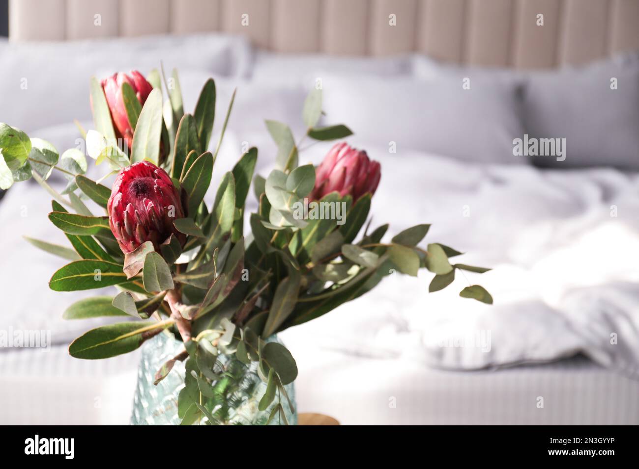 Vase beautiful protea flowers hi-res stock photography and images - Alamy