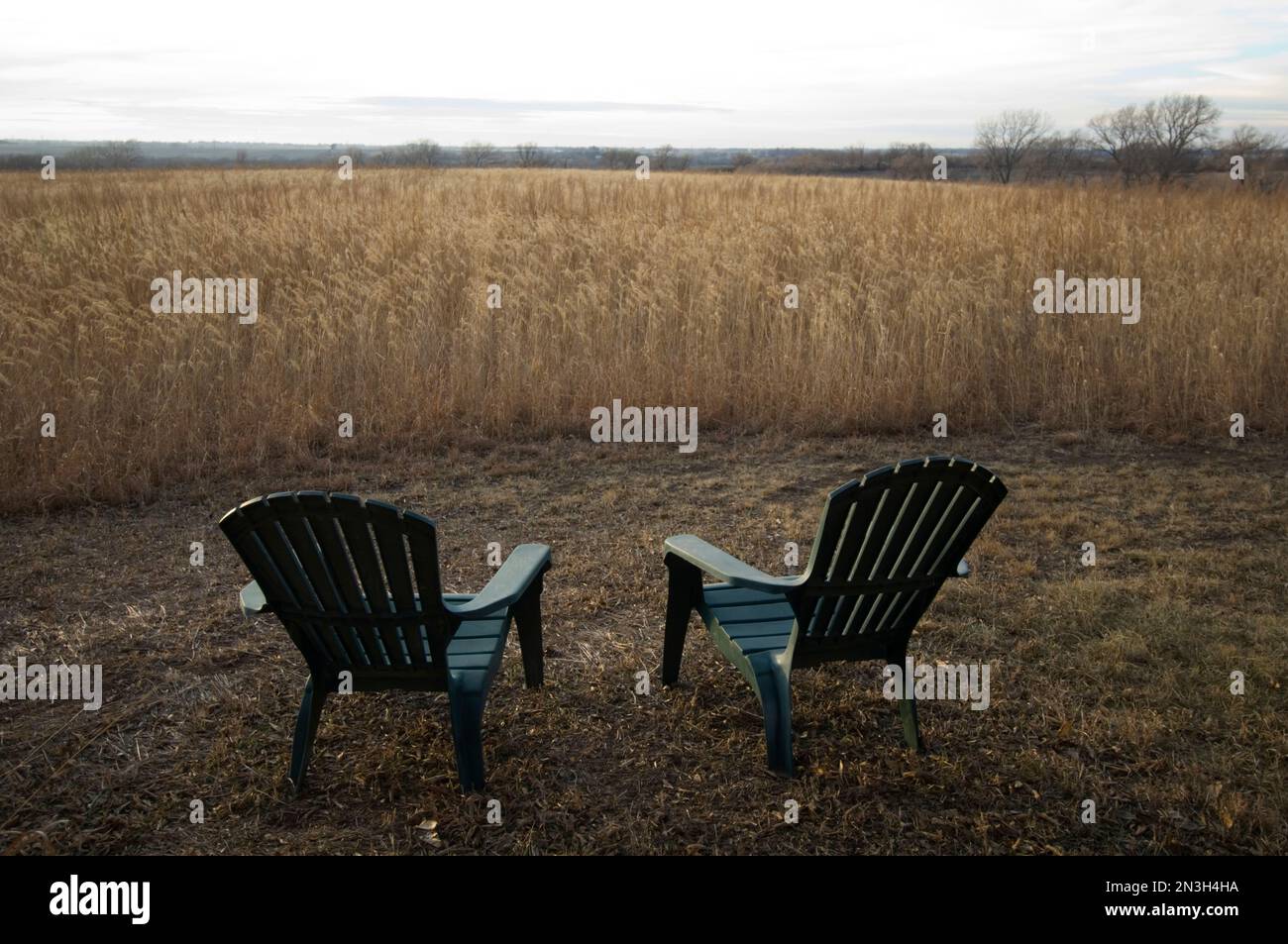 Two empty chairs invite someone to sit and watch the golden field of ...