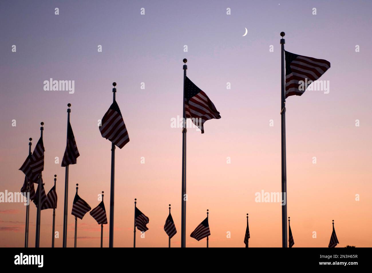 American flags on the Mall in Washington DC, USA; Washington, District ...