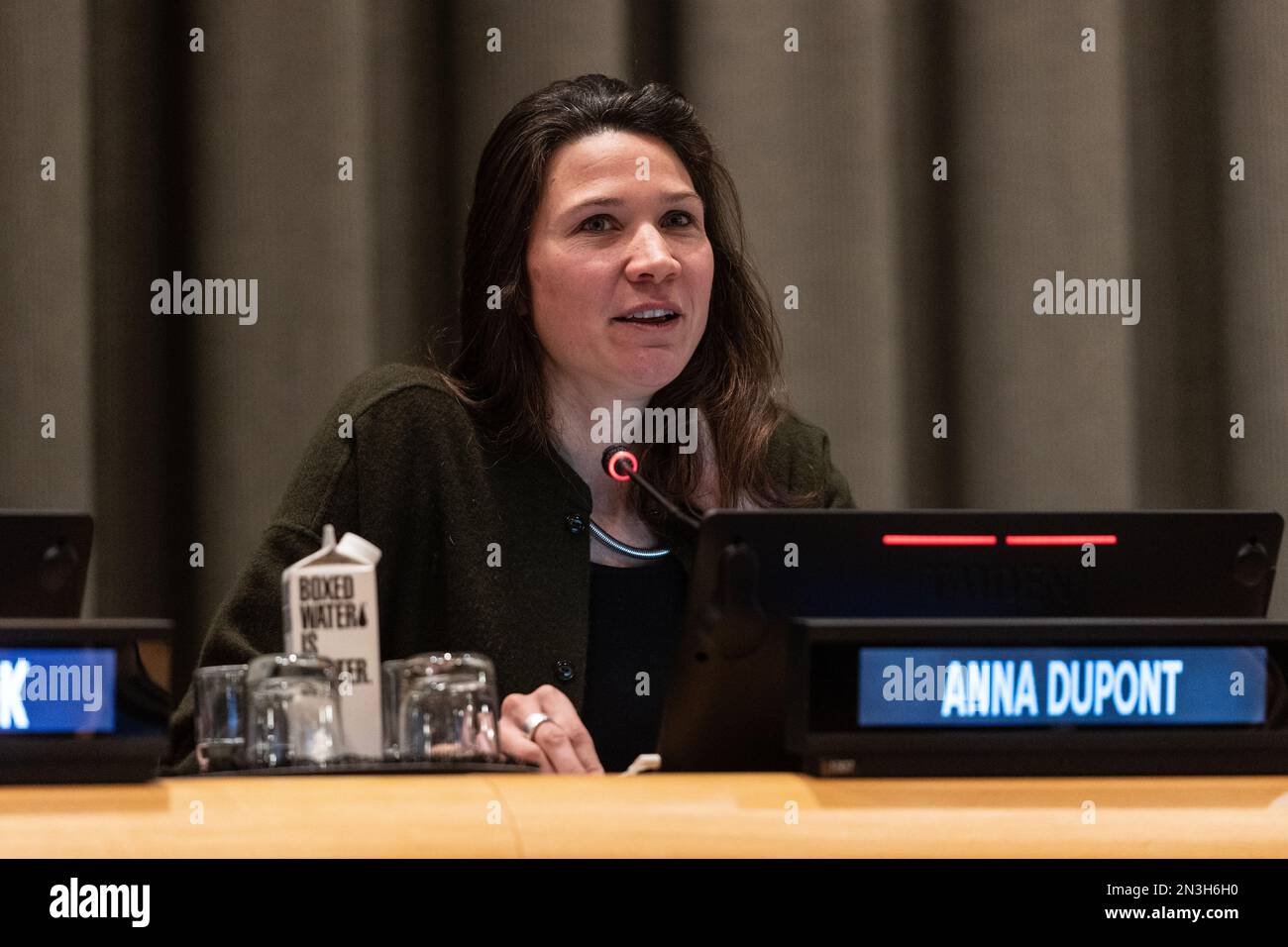 Anna Dupont speaks during Science briefing on Economics of Water at UN ...