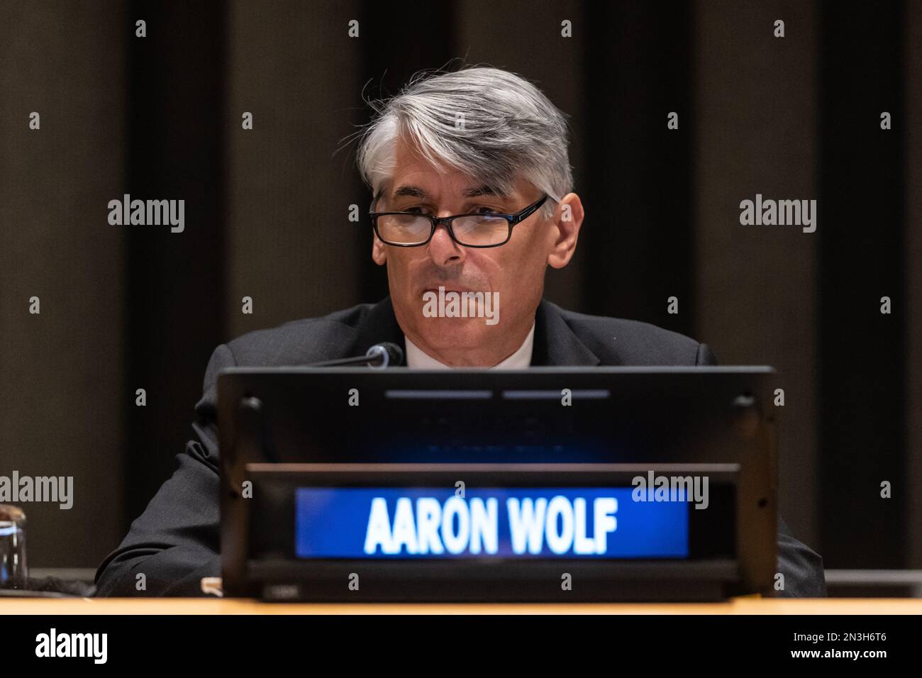Aaron Wolf attends Science briefing on Economics of Water at UN ...