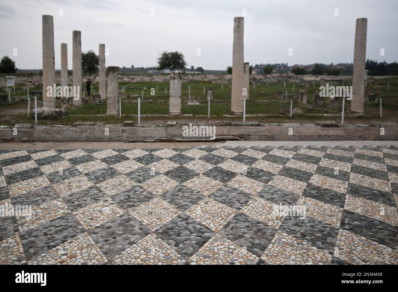 A large black-and-white checkered mosaic pavement is seen in front of ...