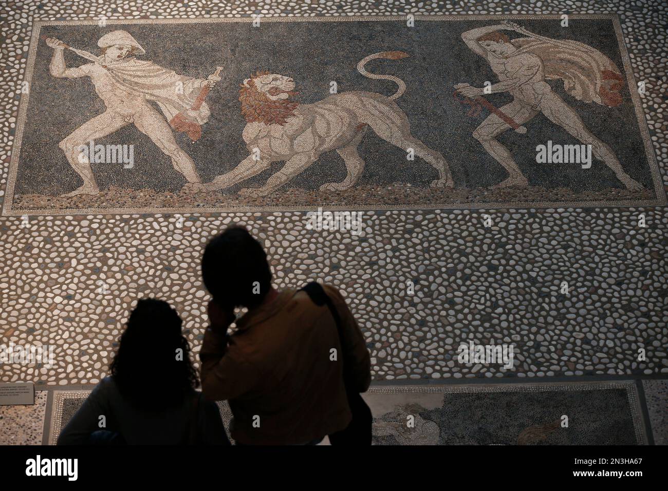 Visitors look at a mosaic pavement believed to portray Alexander the ...