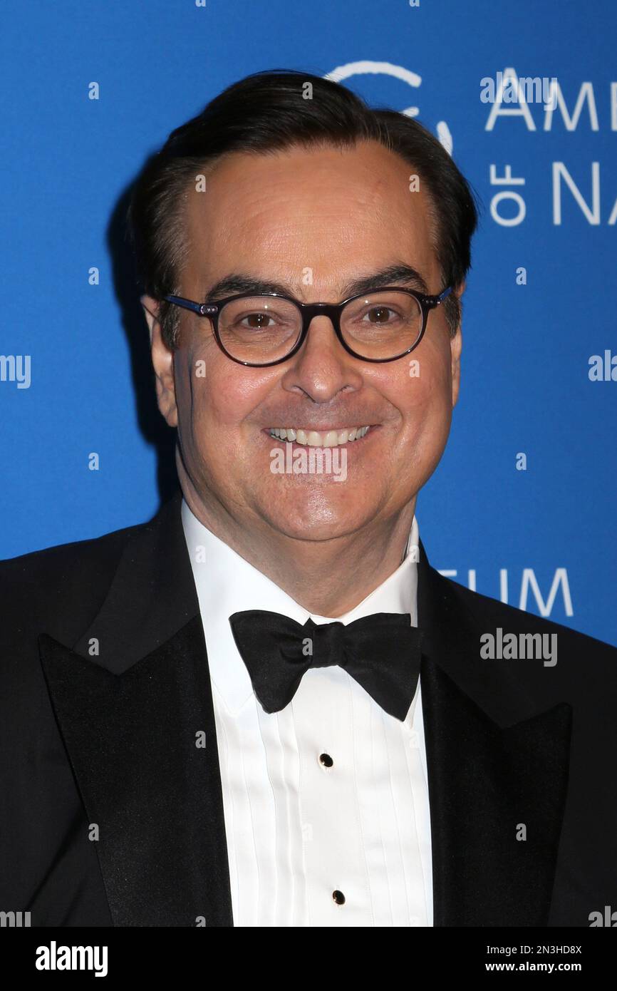 Steve Higgins attends the American Museum of Natural History's 2014 ...