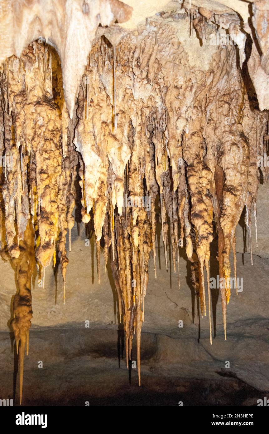 Stalactite and stalagmite limestone formations in Alexandra Cave at the ...