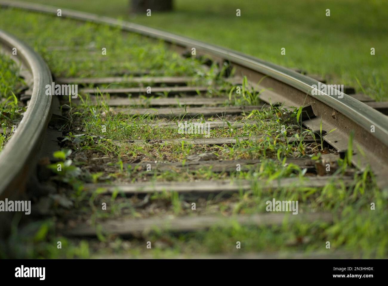 Grass grows between the railroad tracks at the Henry Doorly Zoo; Omaha ...
