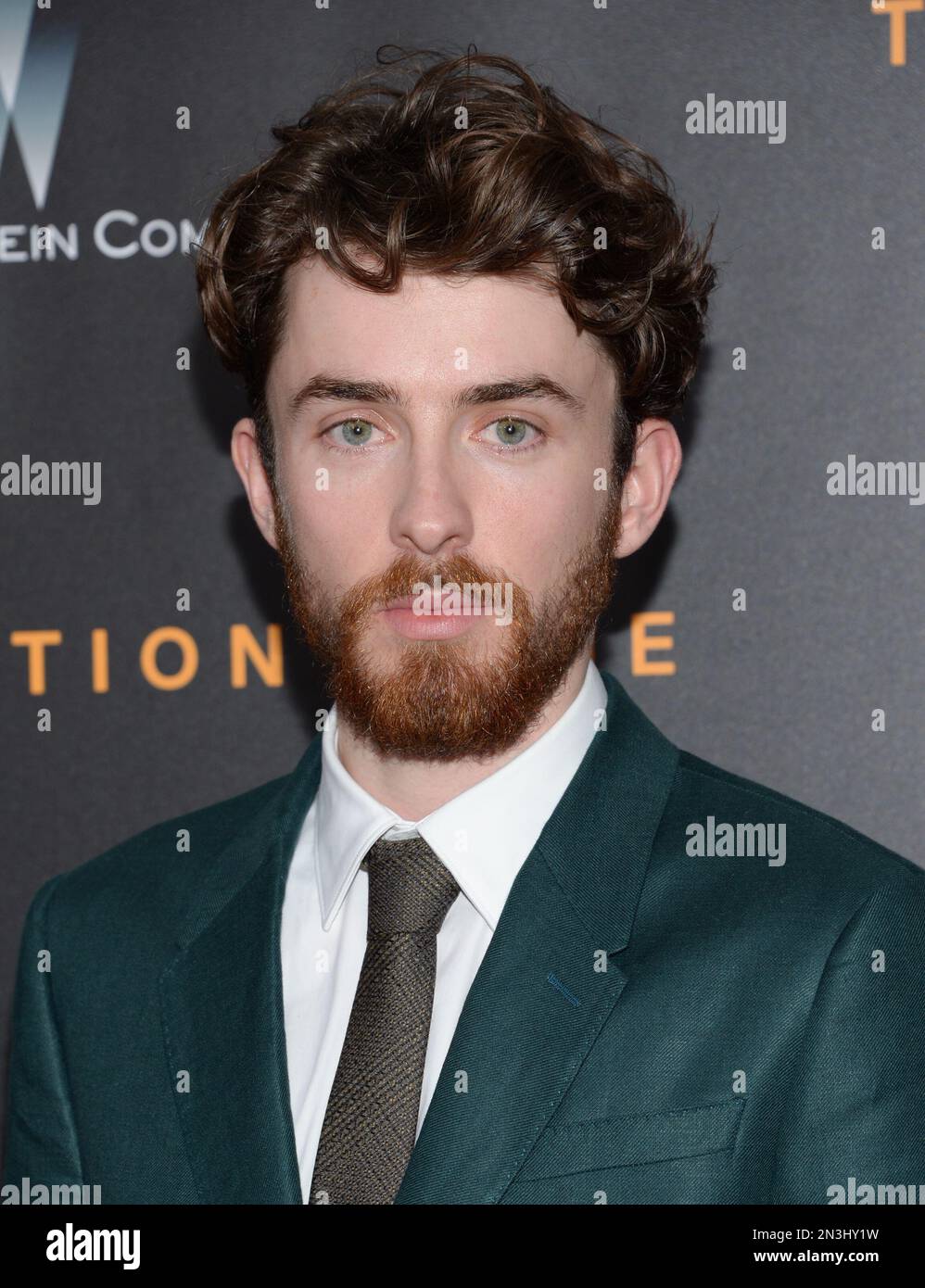 Matthew Beard attends the premiere of "The Imitation Game" at Ziegfeld ...