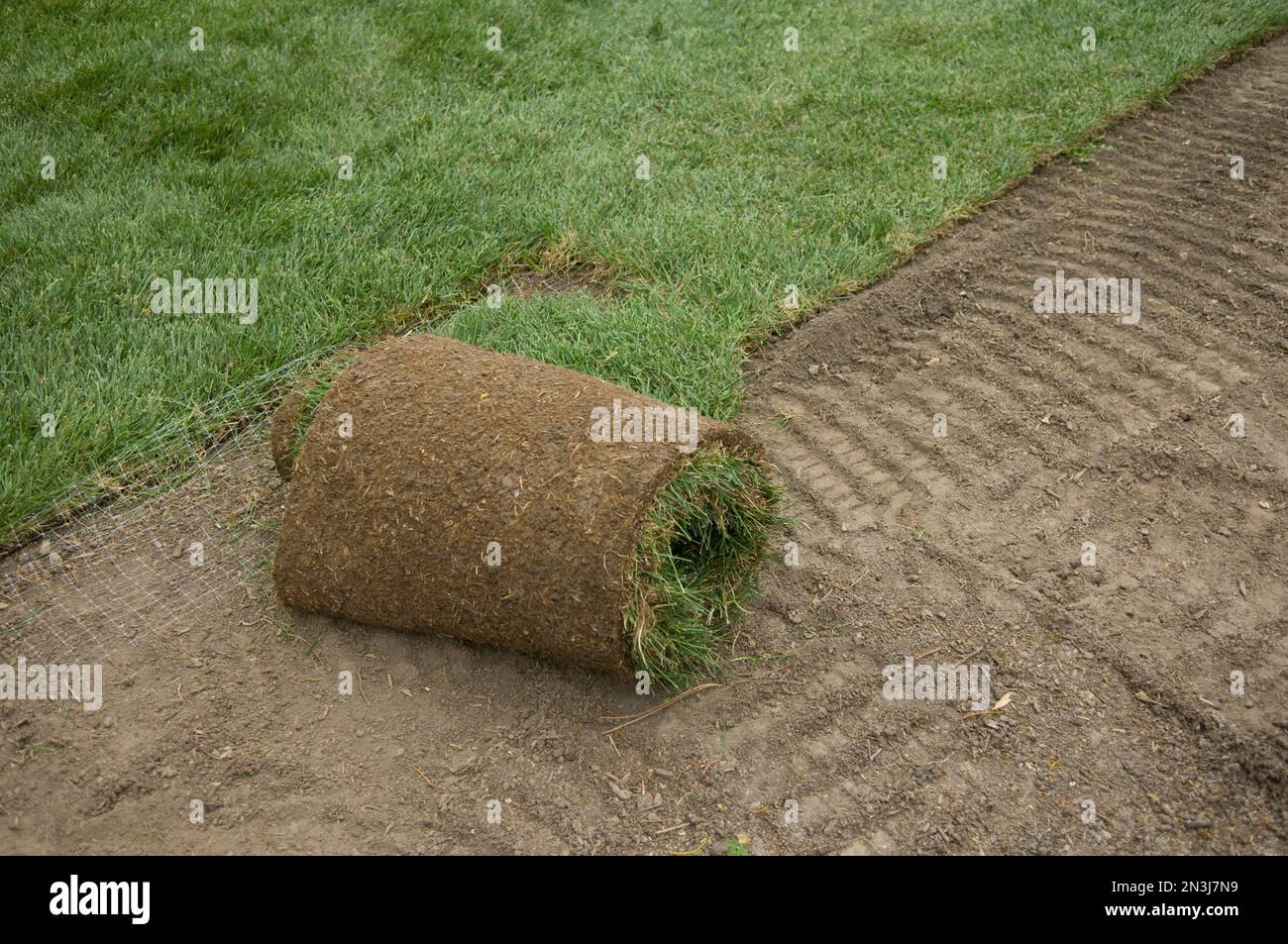Laid on soil hi-res stock photography and images - Alamy