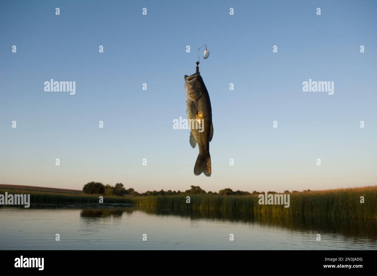 Snyder pond hi-res stock photography and images - Alamy