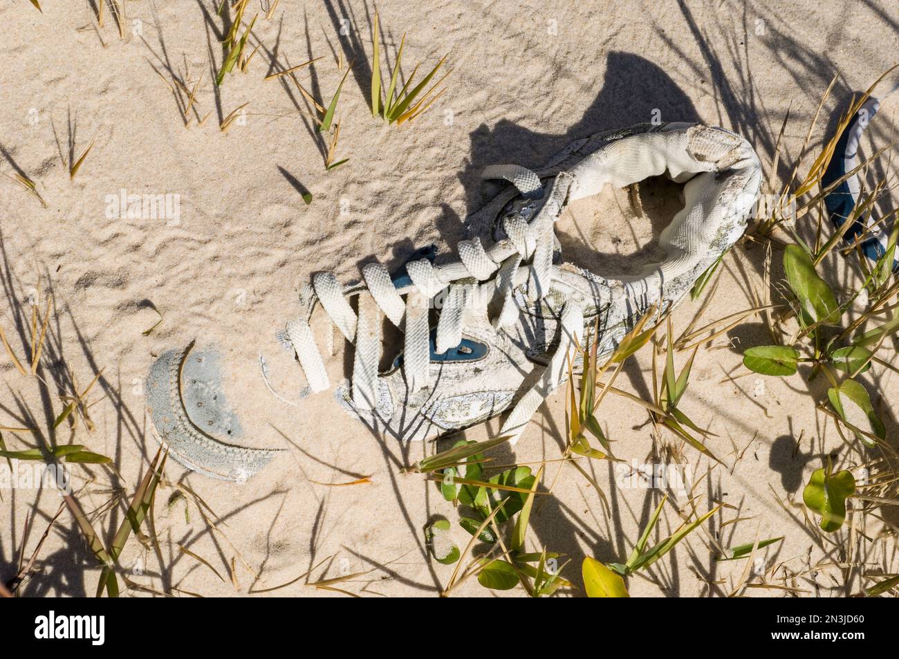 Missing shoe hi-res stock photography and images - Alamy