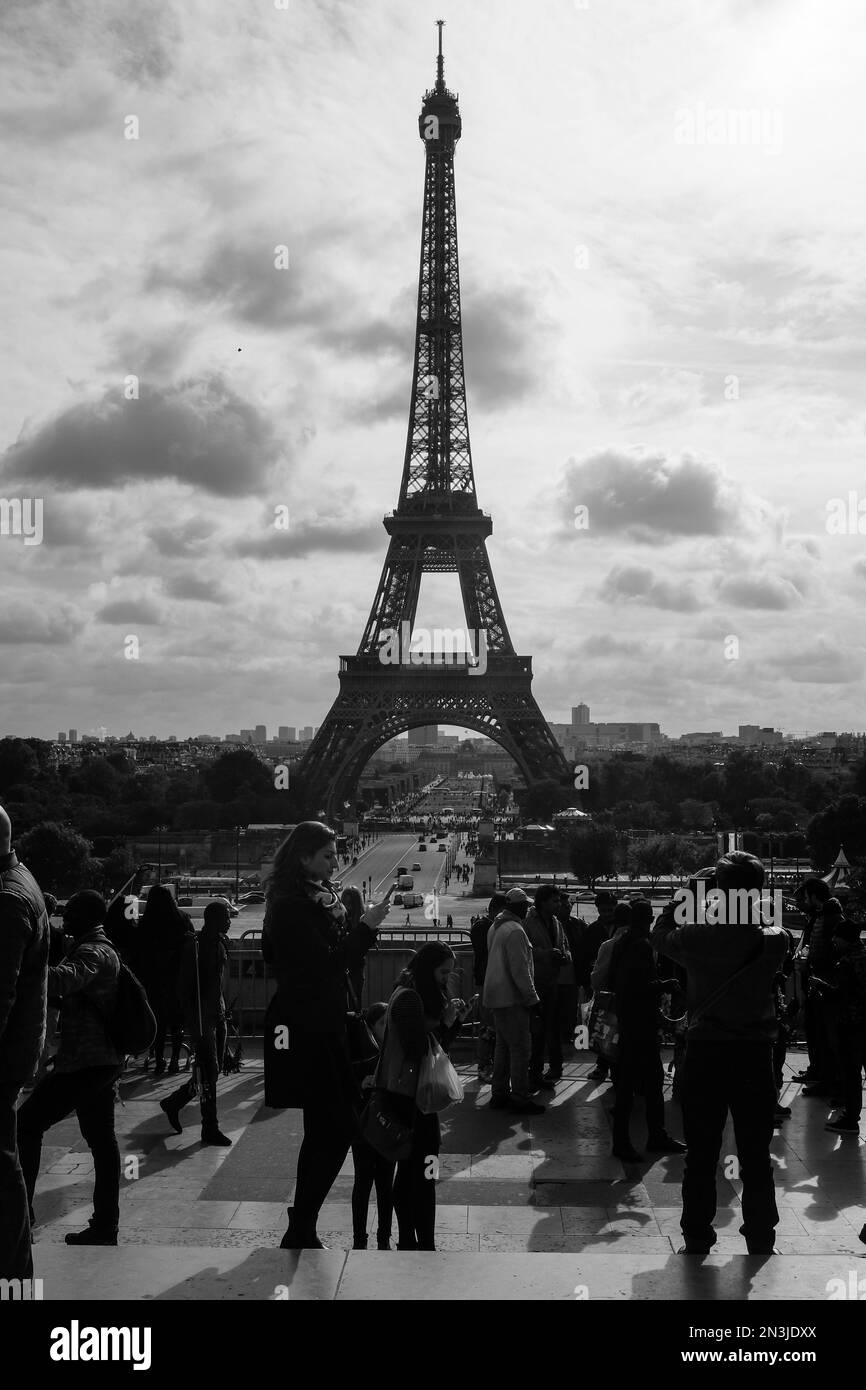 A grayscale vertical shot of the tourists crowd with the Eiffel Tower ...
