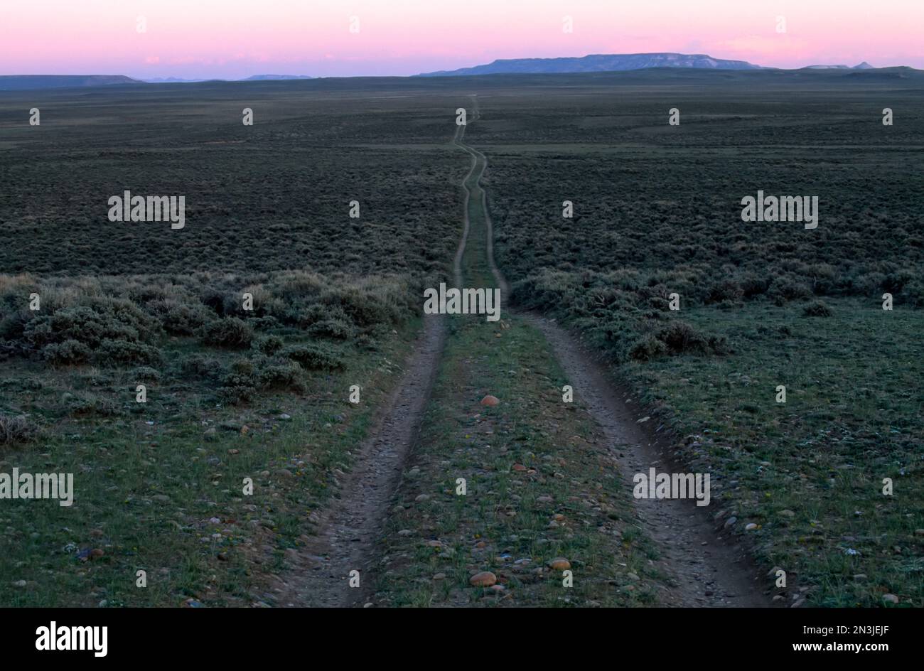 Sagebrush shrubs hi-res stock photography and images - Alamy