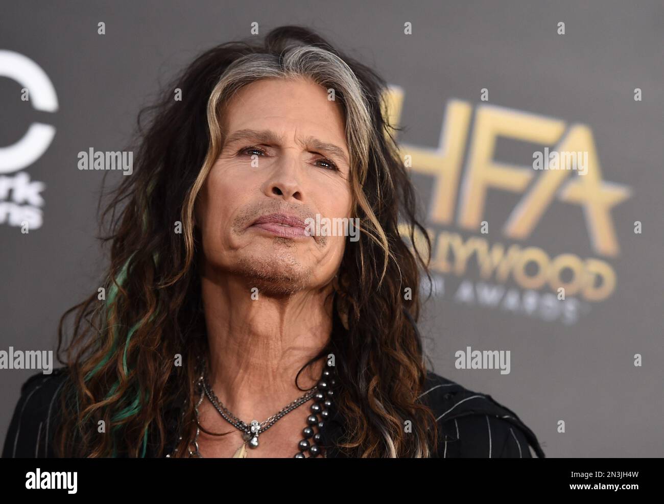Steven Tyler arrives at the Hollywood Film Awards at the Palladium on ...