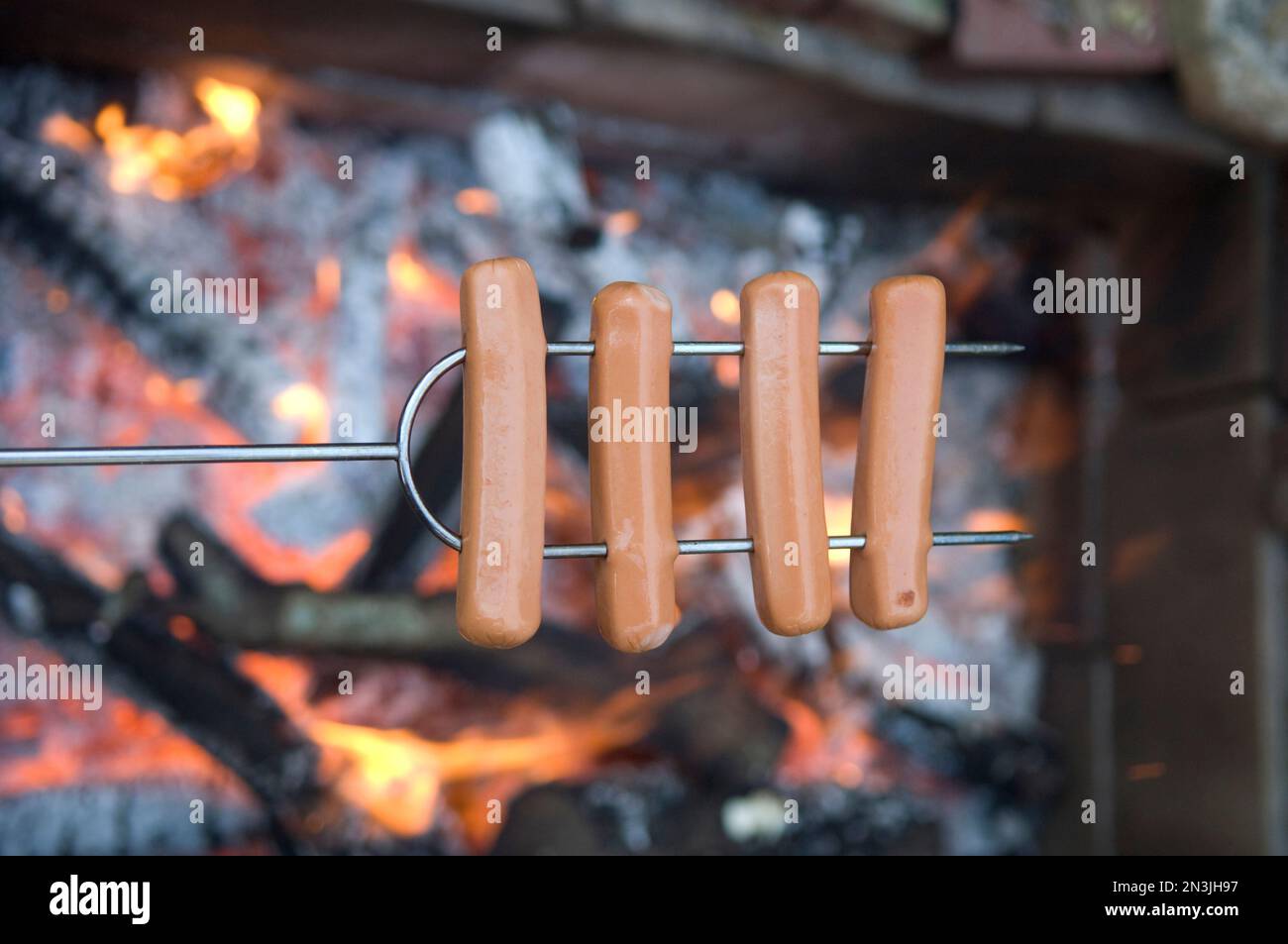 Hot dogs roasting over a fire in a backyard fire pit; Lincoln, Nebraska ...