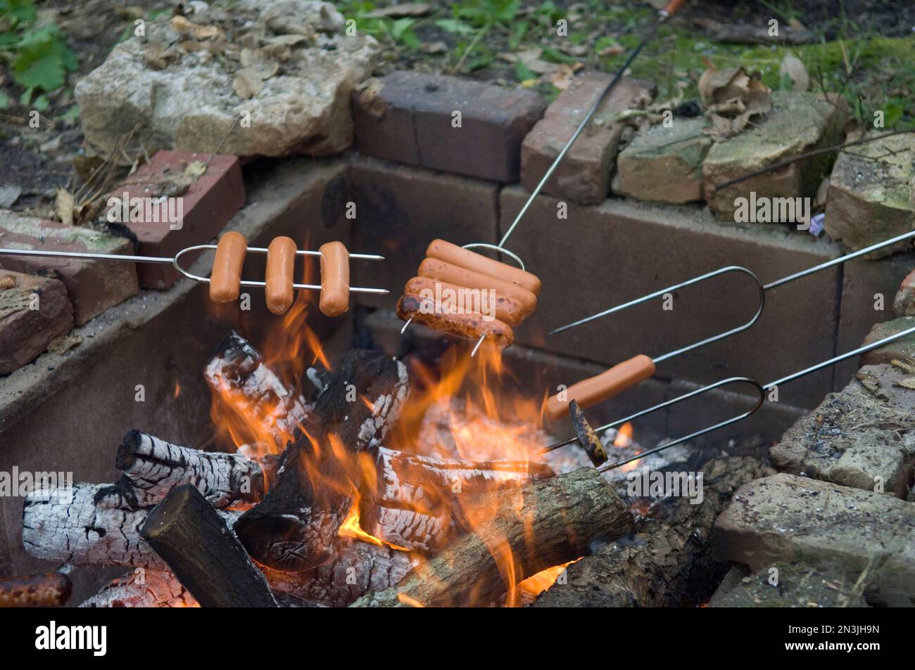 Hot dogs roasting over a fire in a backyard fire pit; Lincoln, Nebraska ...