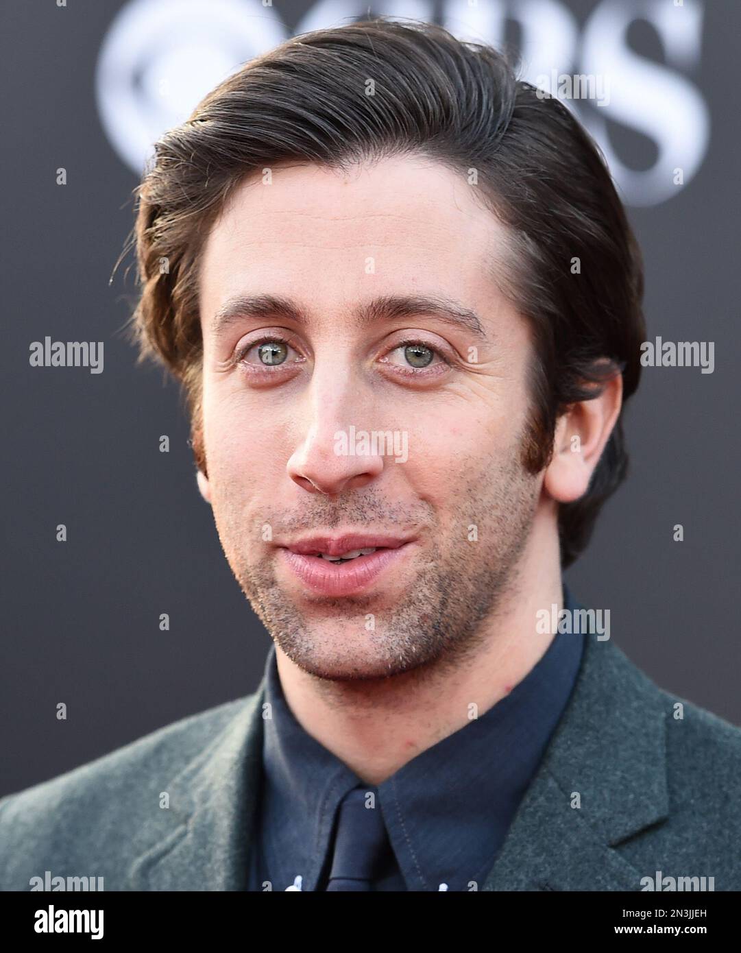 Simon Helberg arrives at the Hollywood Film Awards at the Palladium on ...