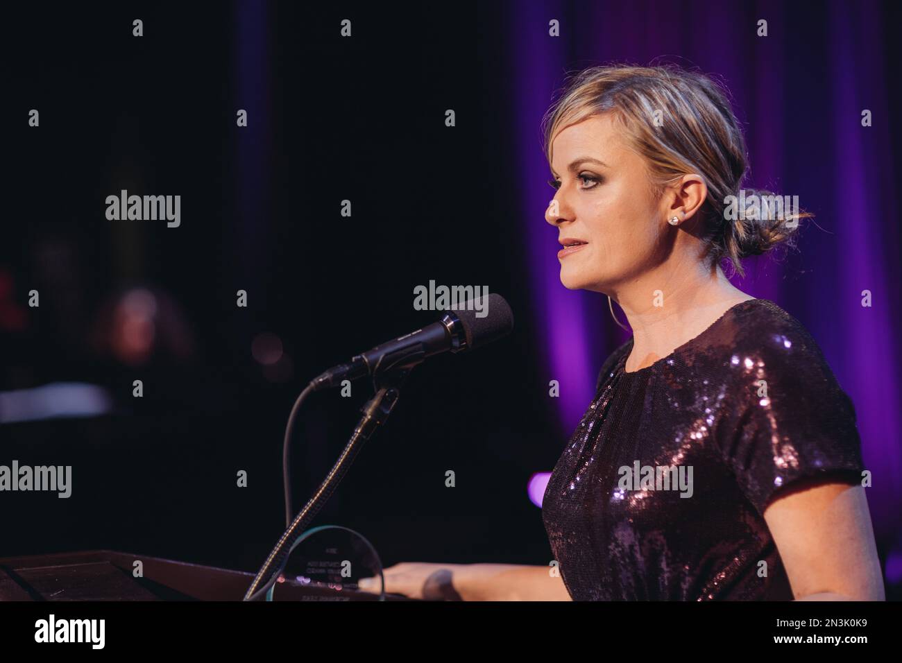 Amy Poehler presents the "Lifetime Achievement Award" to Norman Lear at ...