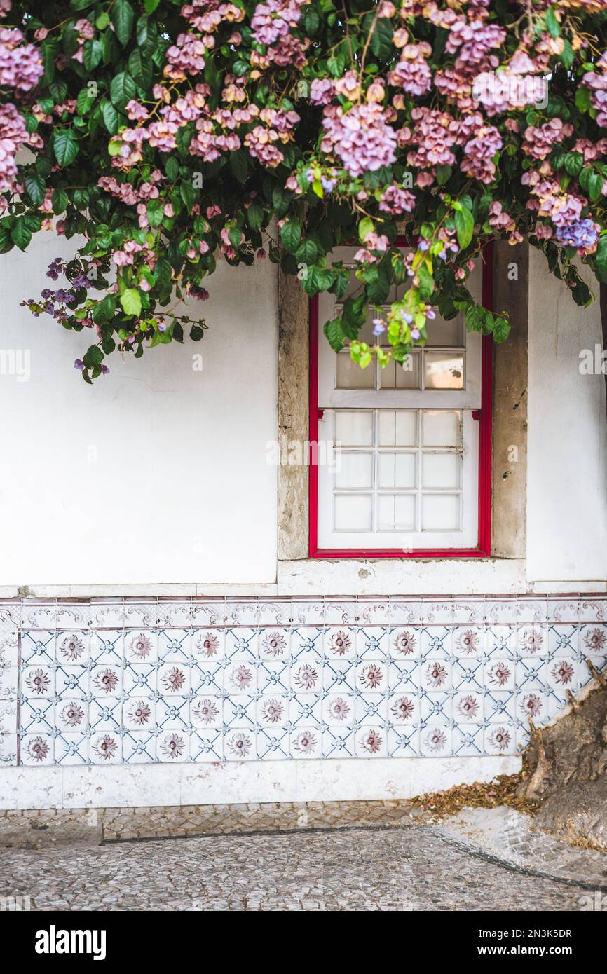 A vertical shot of a house adorned with painted tin-glazed ceramic ...