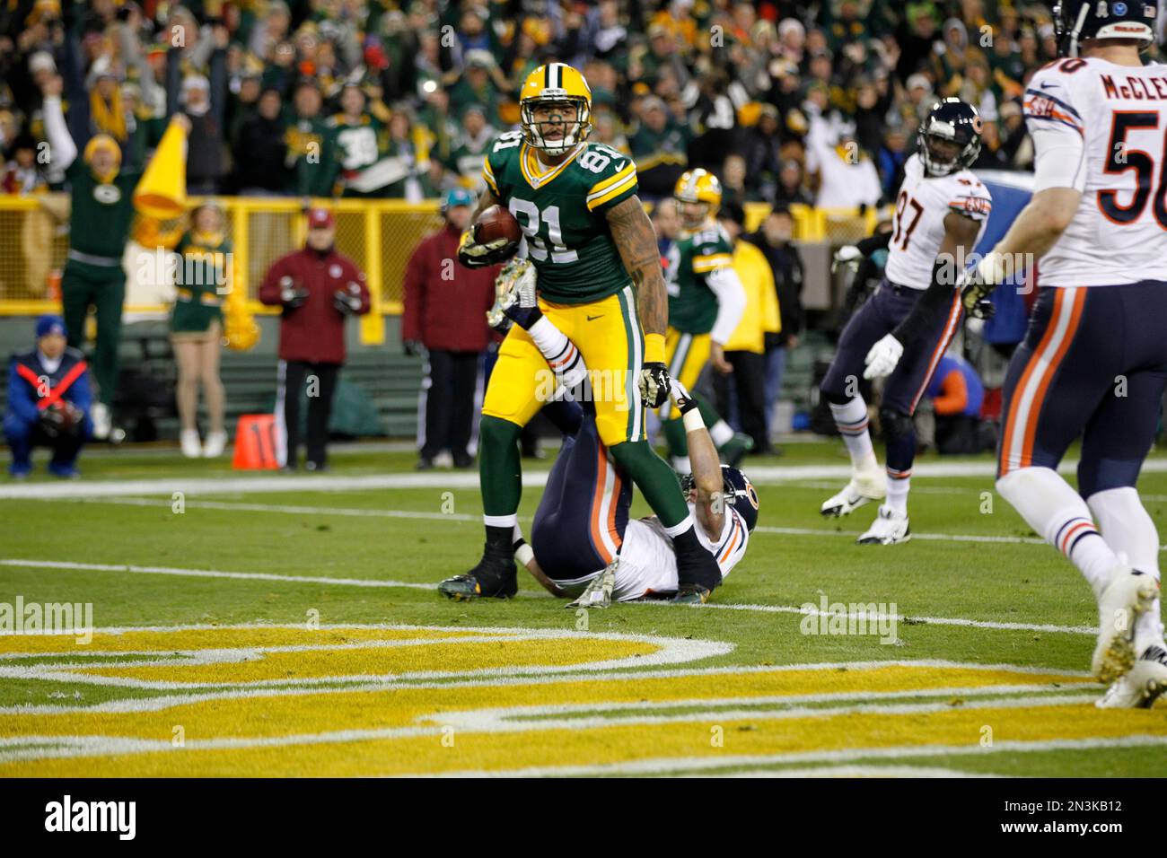 Green Bay Packers tight end Andrew Quarless (81) receives a touchdown ...
