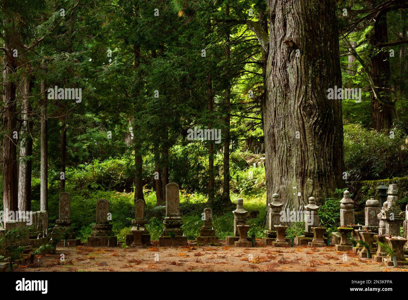 Mt koya cemetery hi-res stock photography and images - Alamy