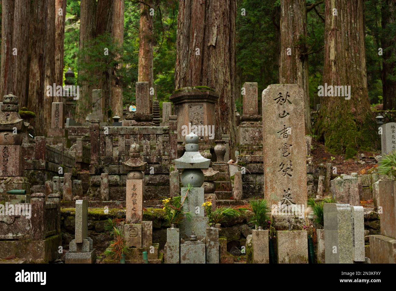 The Okunoin Cemetery at Koyasan is mossy, overgrown, and atmospheric on ...