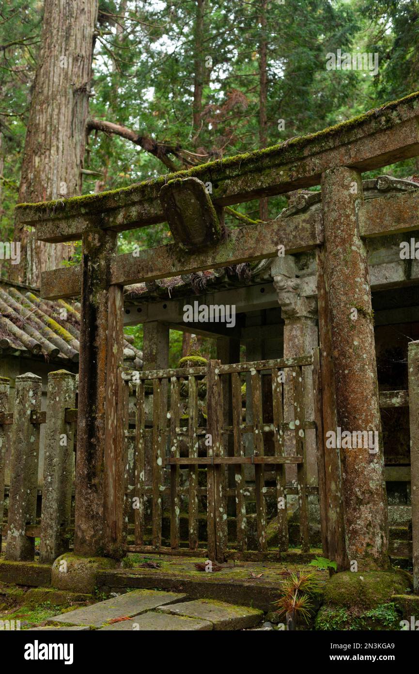 The Okunoin Cemetery at Koyasan is mossy, overgrown, and atmospheric on ...