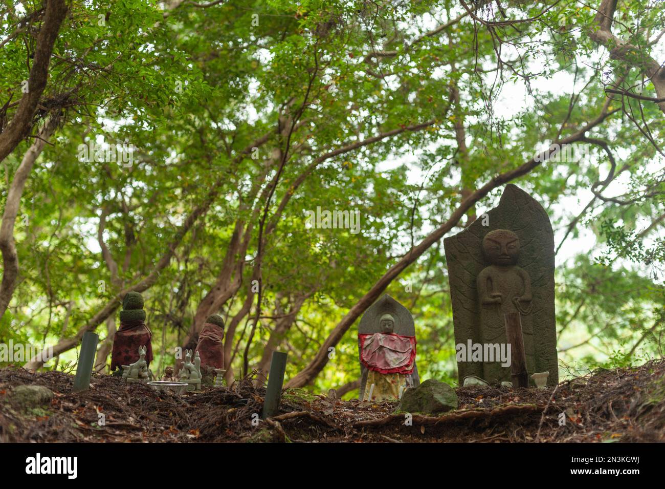 Mt koya cemetery hi-res stock photography and images - Alamy
