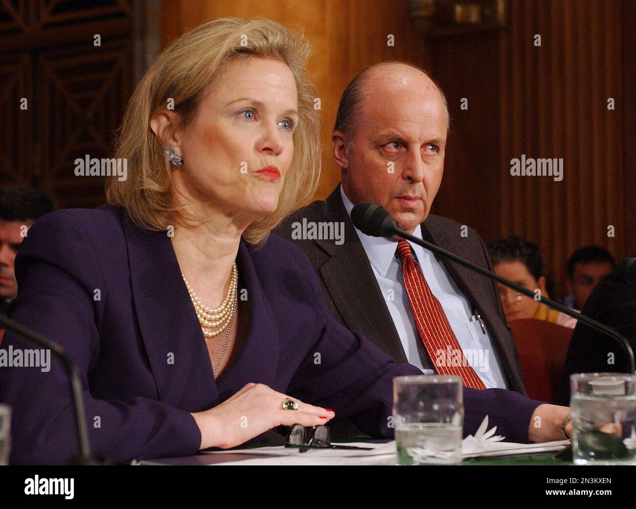 FILE - In this April 7, 2004 file photo, Robin Raphel, coordinator of ...
