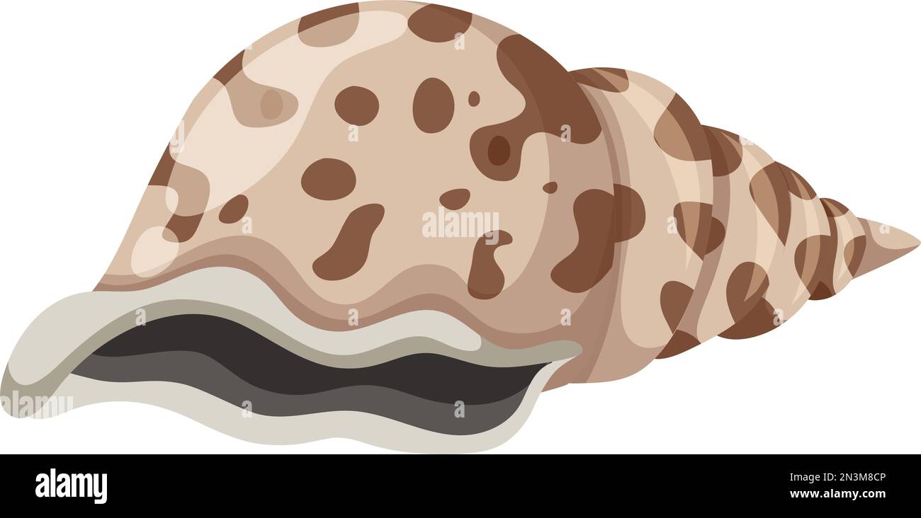 Isolated shell rocky shore illustration Stock Vector Image & Art - Alamy