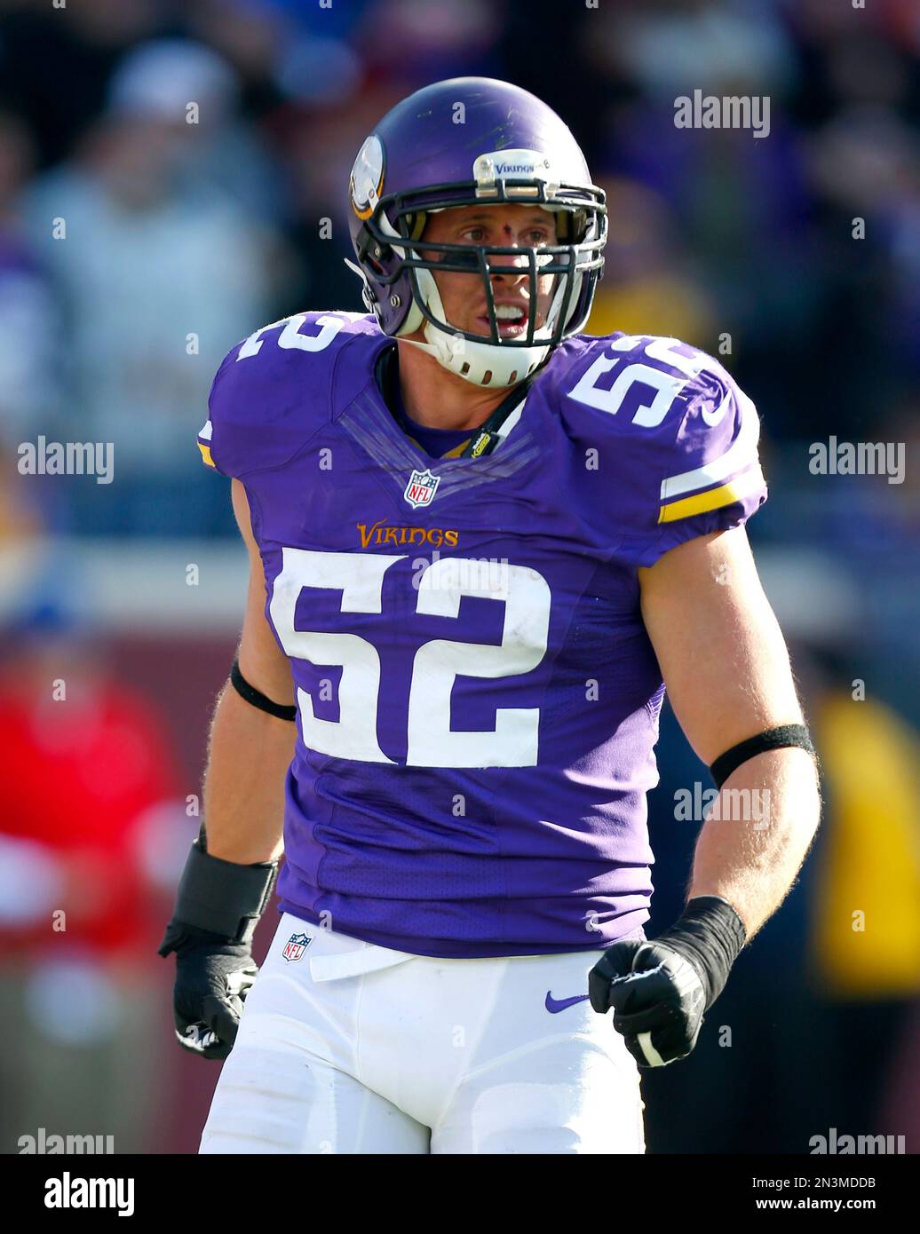 Minnesota Vikings outside linebacker Chad Greenway (52) celebrates ...