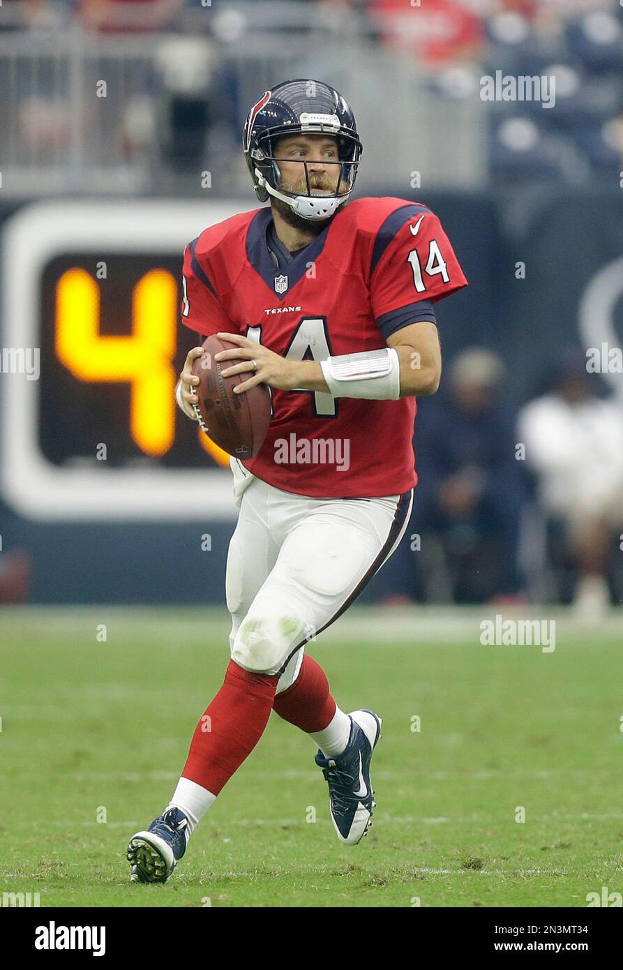 Houston Texans quarterback Ryan Fitzpatrick (14) looks to pass during ...