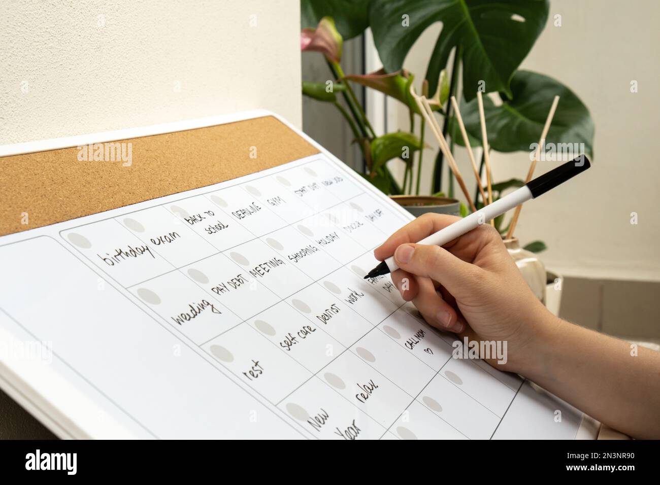 Female hand writing with marker on Monthly PLANNER filled with ...