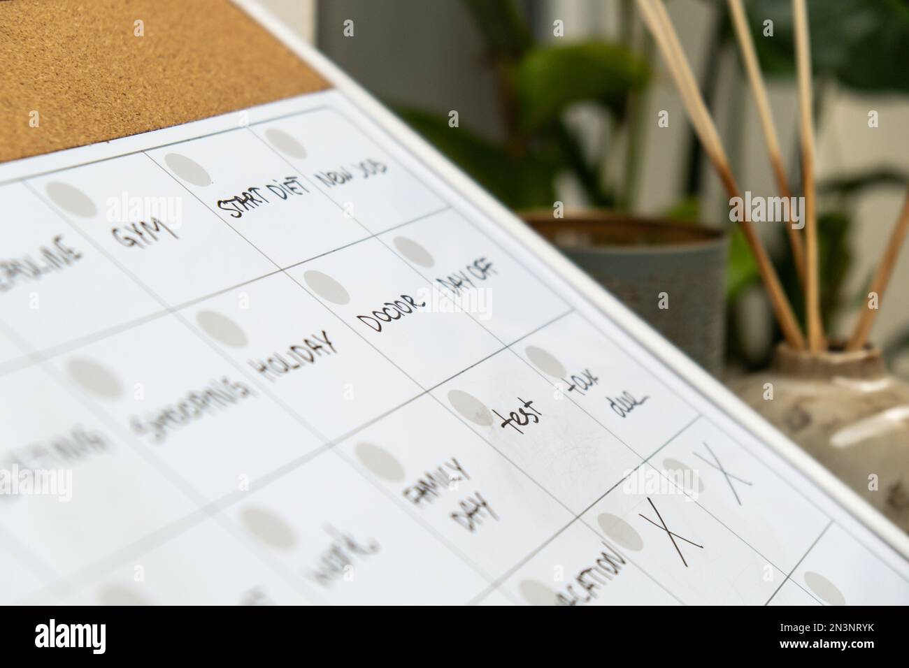 Monthly PLANNER filled with appointments and plans for next month. Busy ...