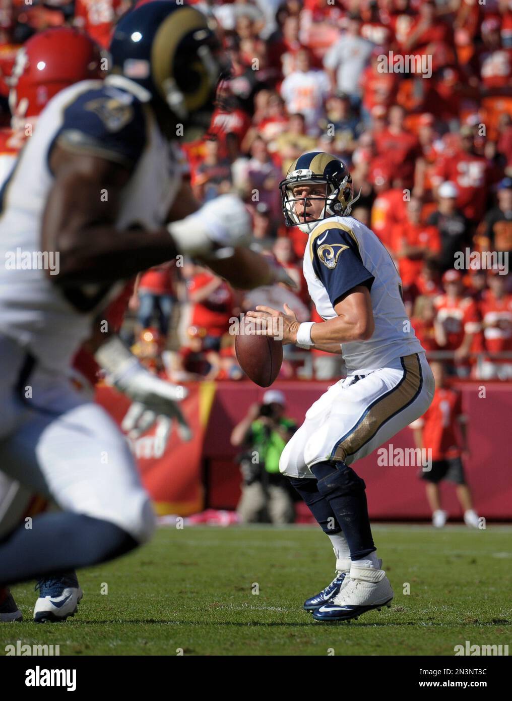 St. Louis Rams quarterback Austin Davis (9) looks to throw against the ...