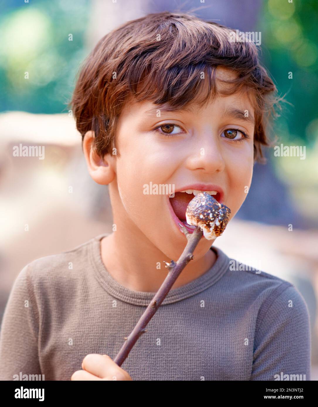 The perfect campsite sweet treat. Cropped view of a little boy eating a ...