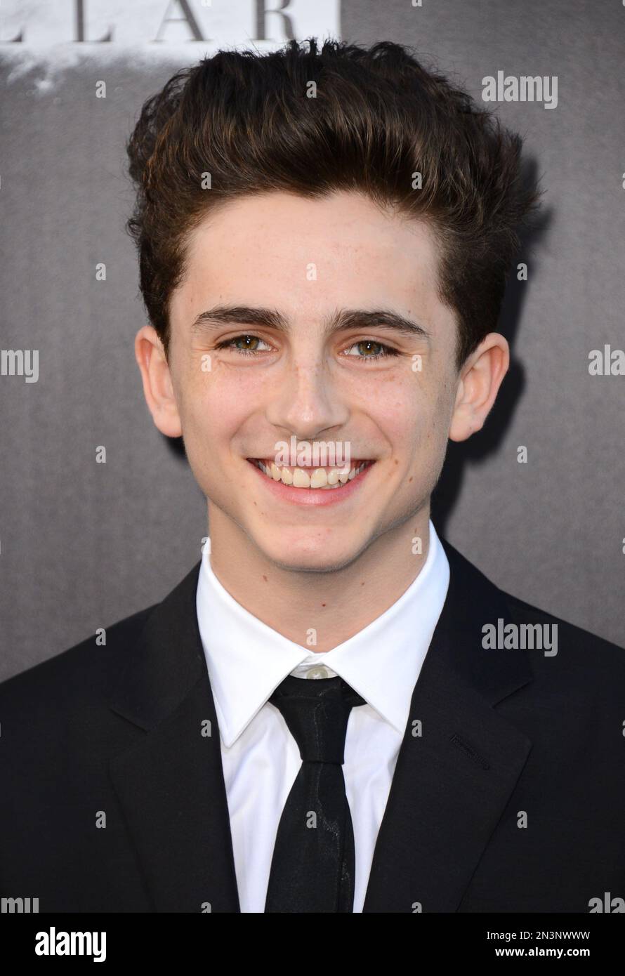 Timothée Chalamet arrives at the premiere of "Interstellar" at the TCL ...