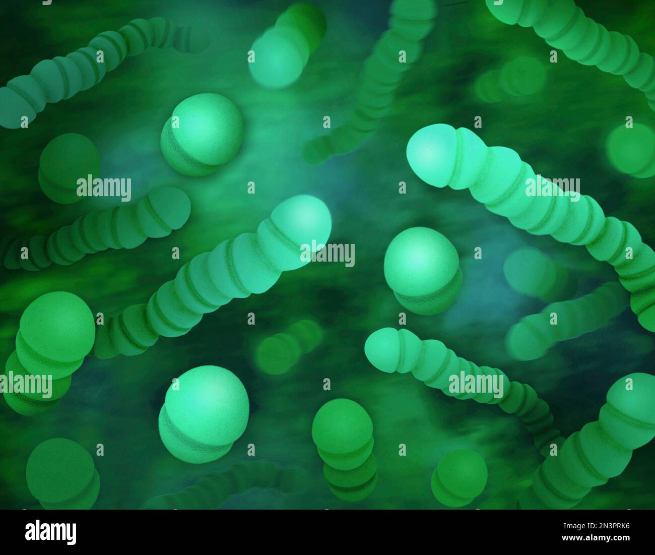 Group A Streptococcus bacteria, illustration Stock Photo - Alamy