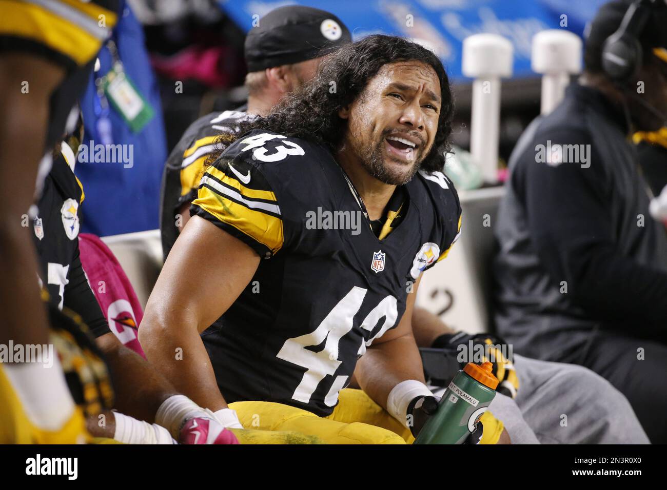 Pittsburgh Steelers strong safety Troy Polamalu (43) sits on the ...