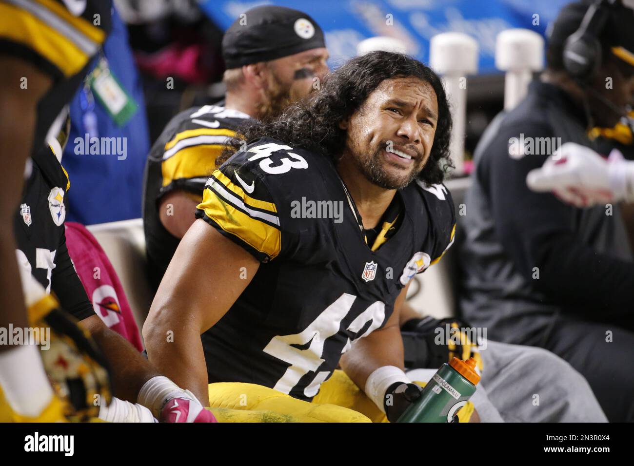 Pittsburgh Steelers strong safety Troy Polamalu (43) sits on the ...