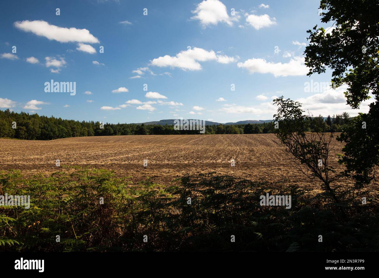 Crathes castle historical hi-res stock photography and images - Alamy
