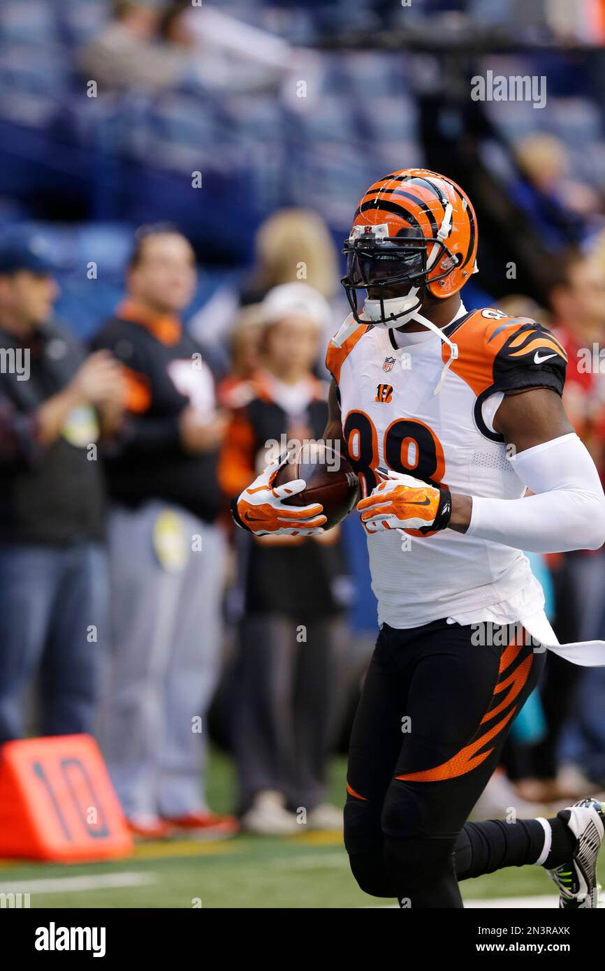 Cincinnati Bengals wide receiver Greg Little runs before an NFL ...