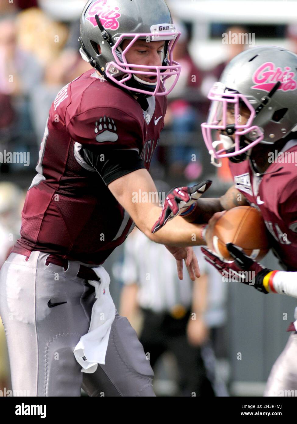Montana quarterback Jordan Johnson (10) hands the ball of during the ...