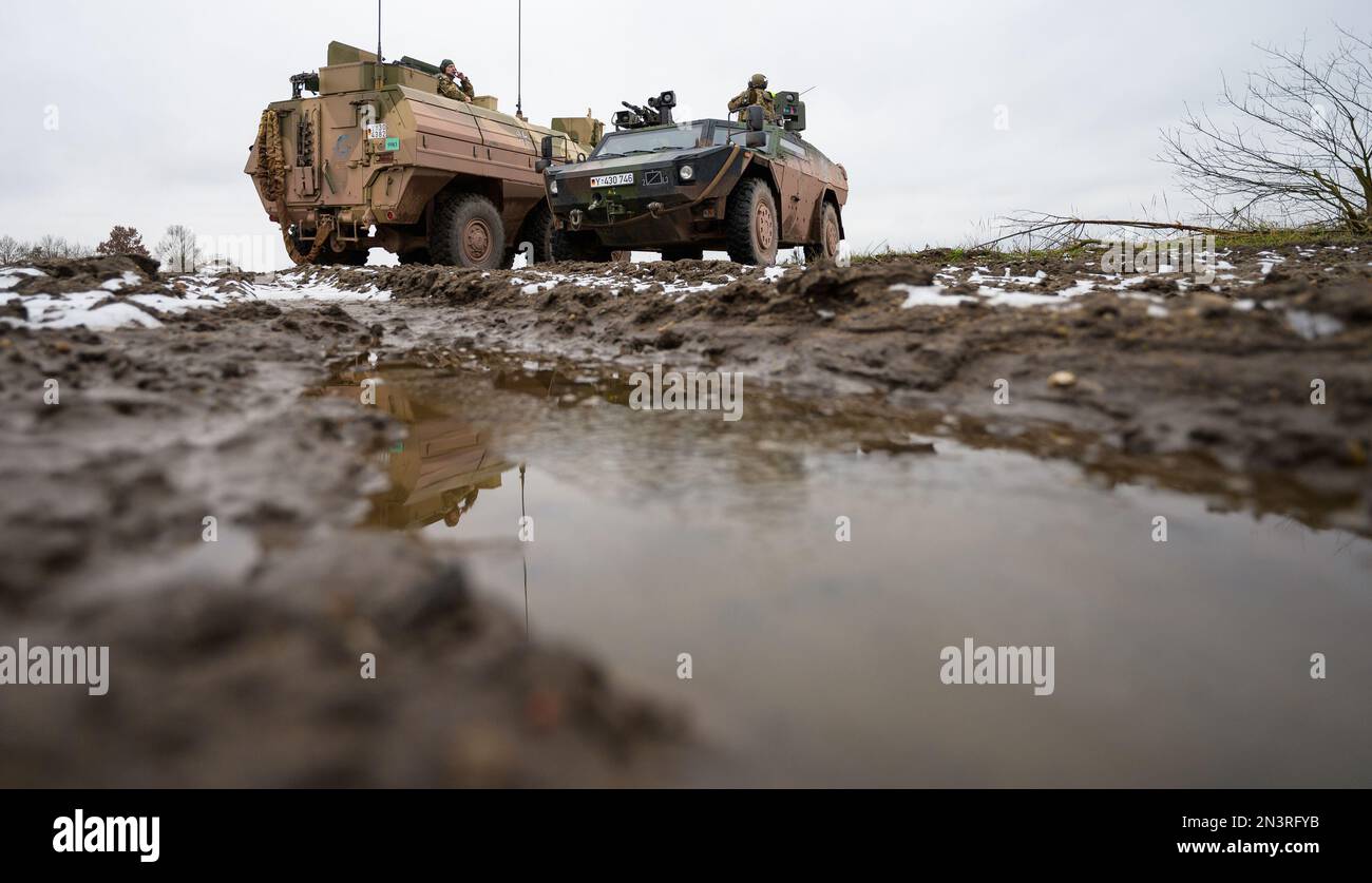 Fennek fuchs hi-res stock photography and images - Alamy