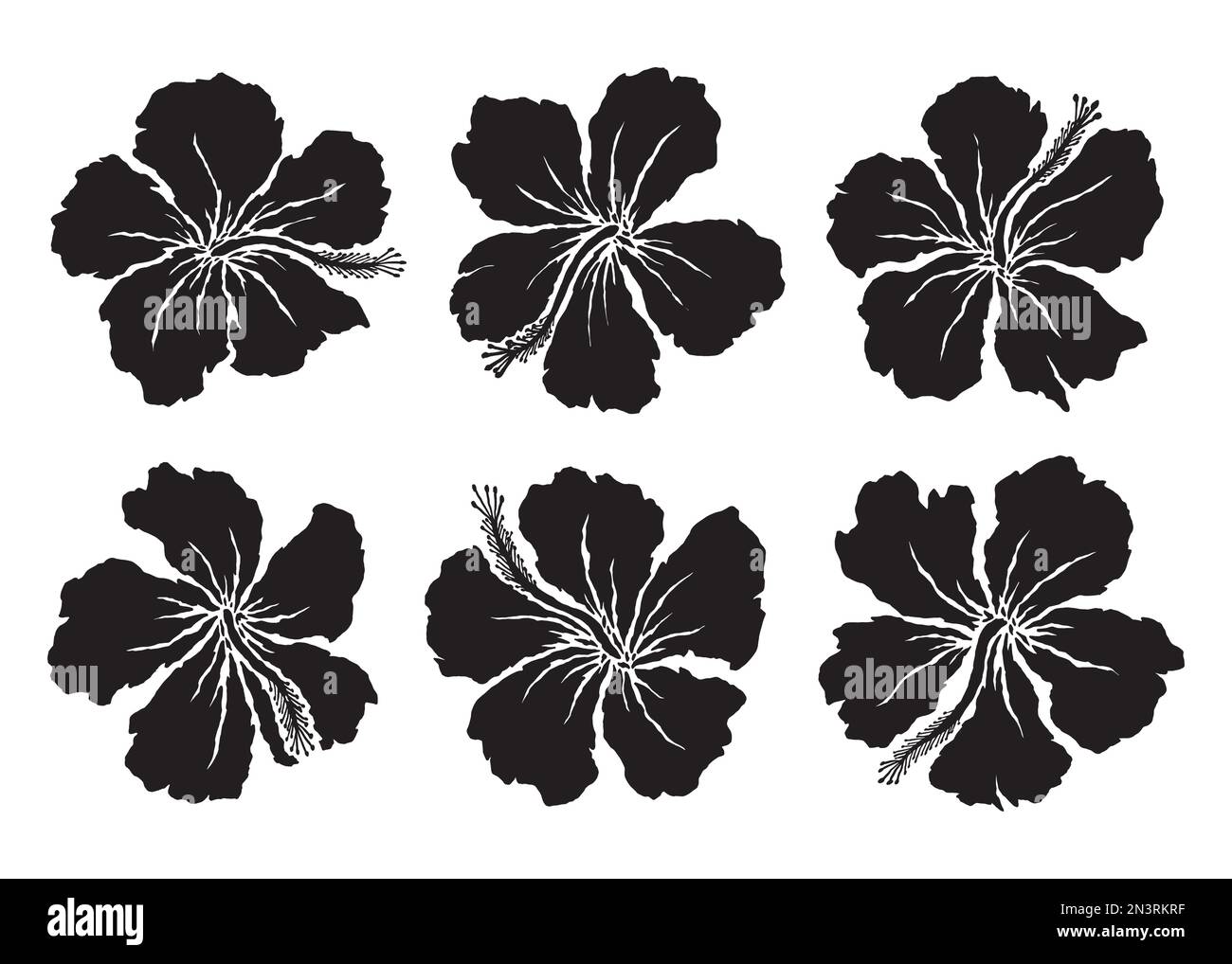 Hibiscus Silhouette Collection Set Vector Illustration Stock Vector