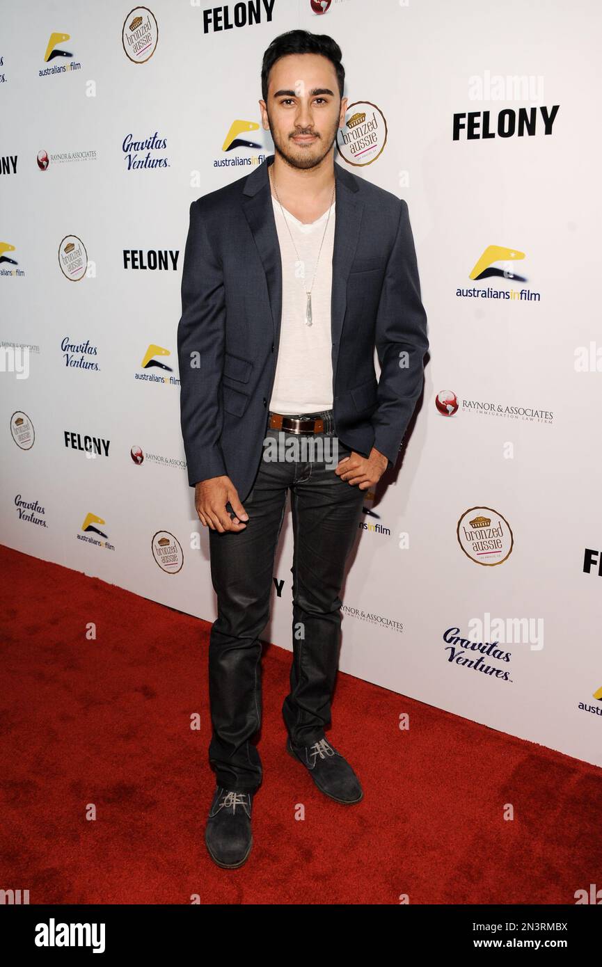 Ashwin Gore arrives at the LA Premiere Of "Felony" on Thursday, Oct. 16, 2014, in Los Angeles ...