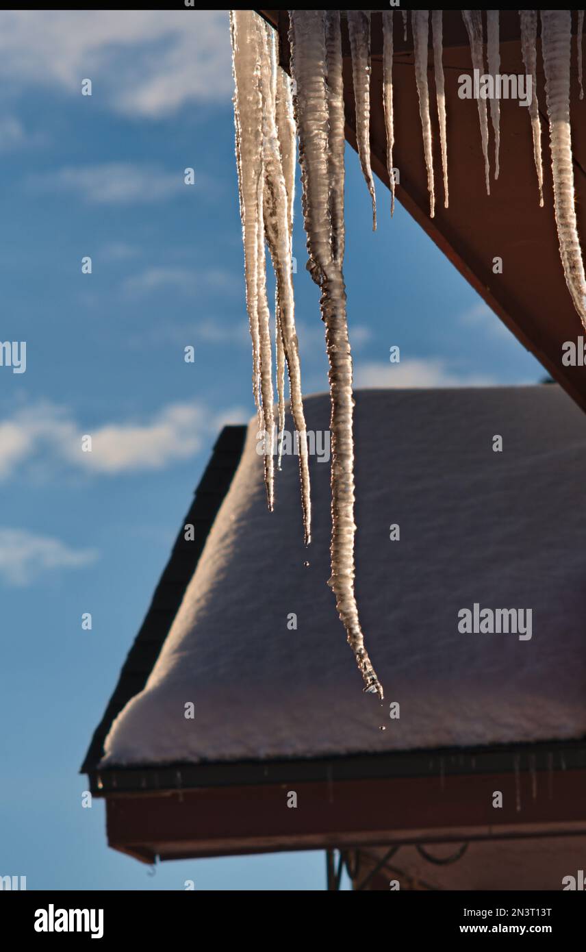 A vertical closeup of ice dams hanging from the edges of a roof against ...