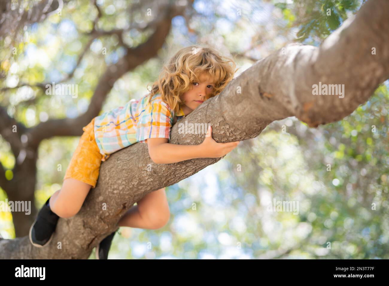 Funny child climbing a tree in the garden. Active kid playing outdoors ...
