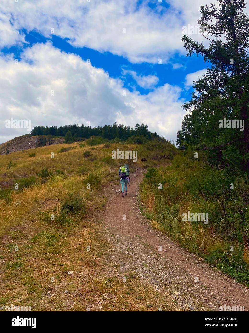 Girl traveler with a backpack on trekking poles climbing up the ...